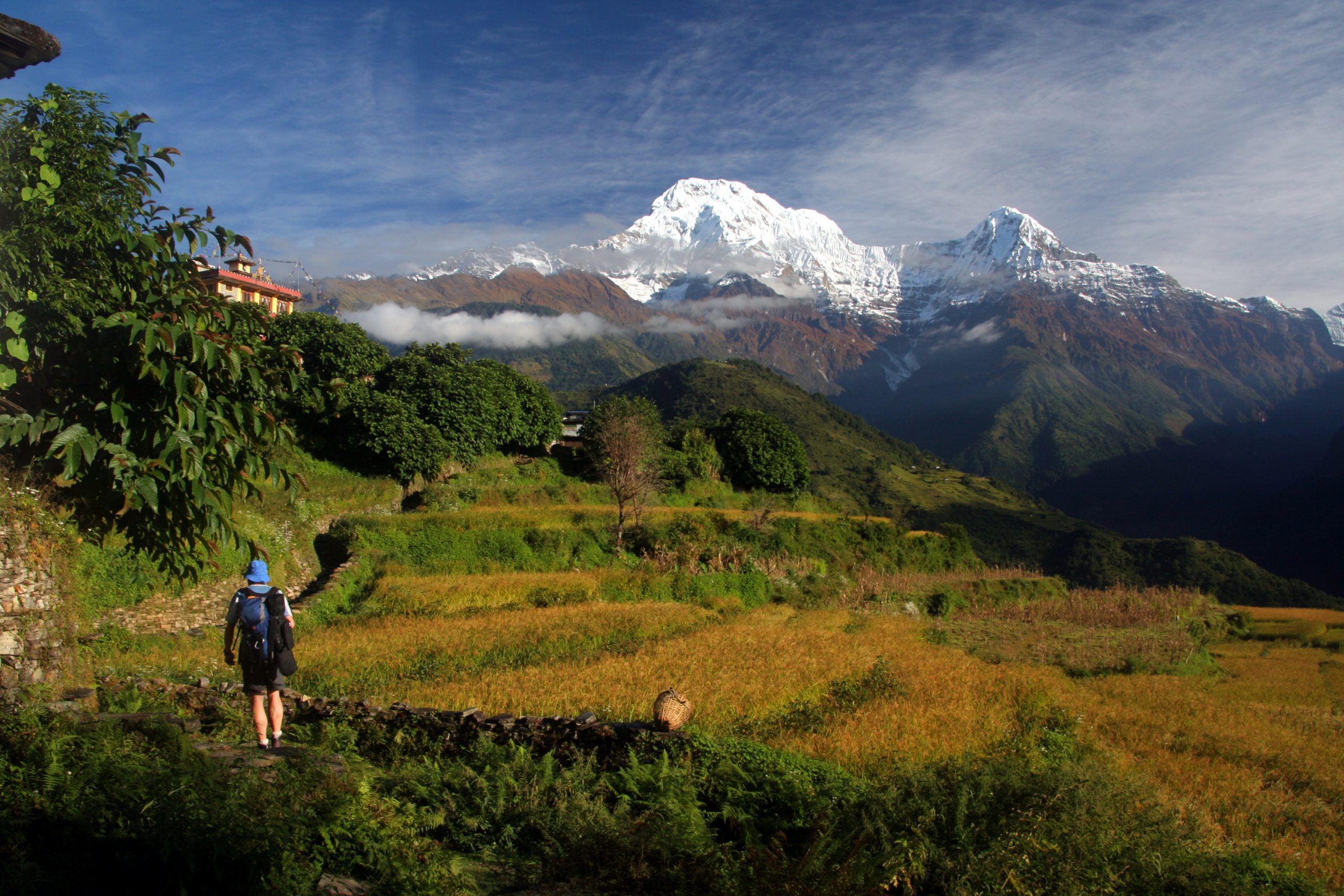 Shoba Mohan On World Environment Day: 'Travel To Protect And Sustain ...
