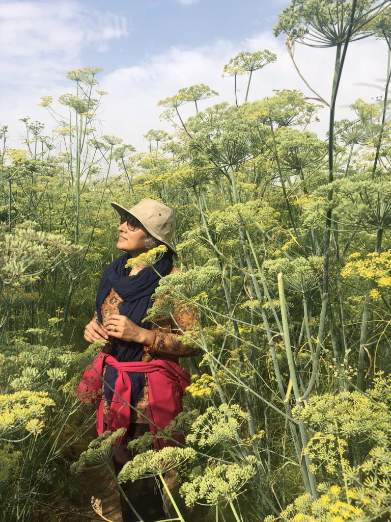 Championing Sustainability Through Responsible Tourism | The Dope