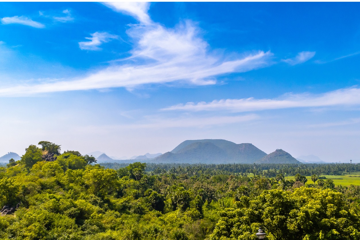 To Protect Grassland, Andhra Pradesh To Regulate Tourism Activities At ...